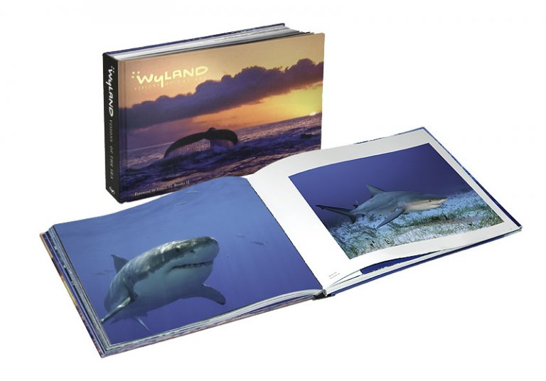 Visions Of The Sea Book by Wyland – Wyland Worldwide