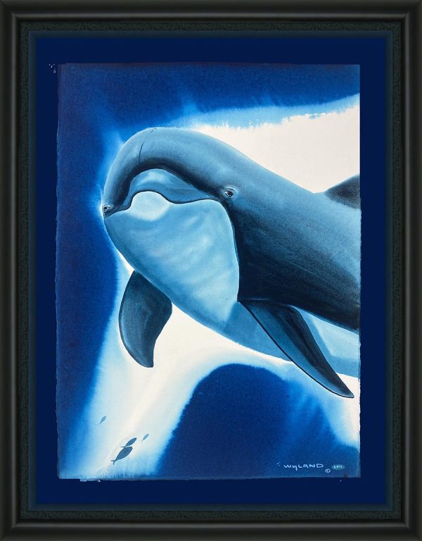 Blue Dolphin – Wyland Worldwide