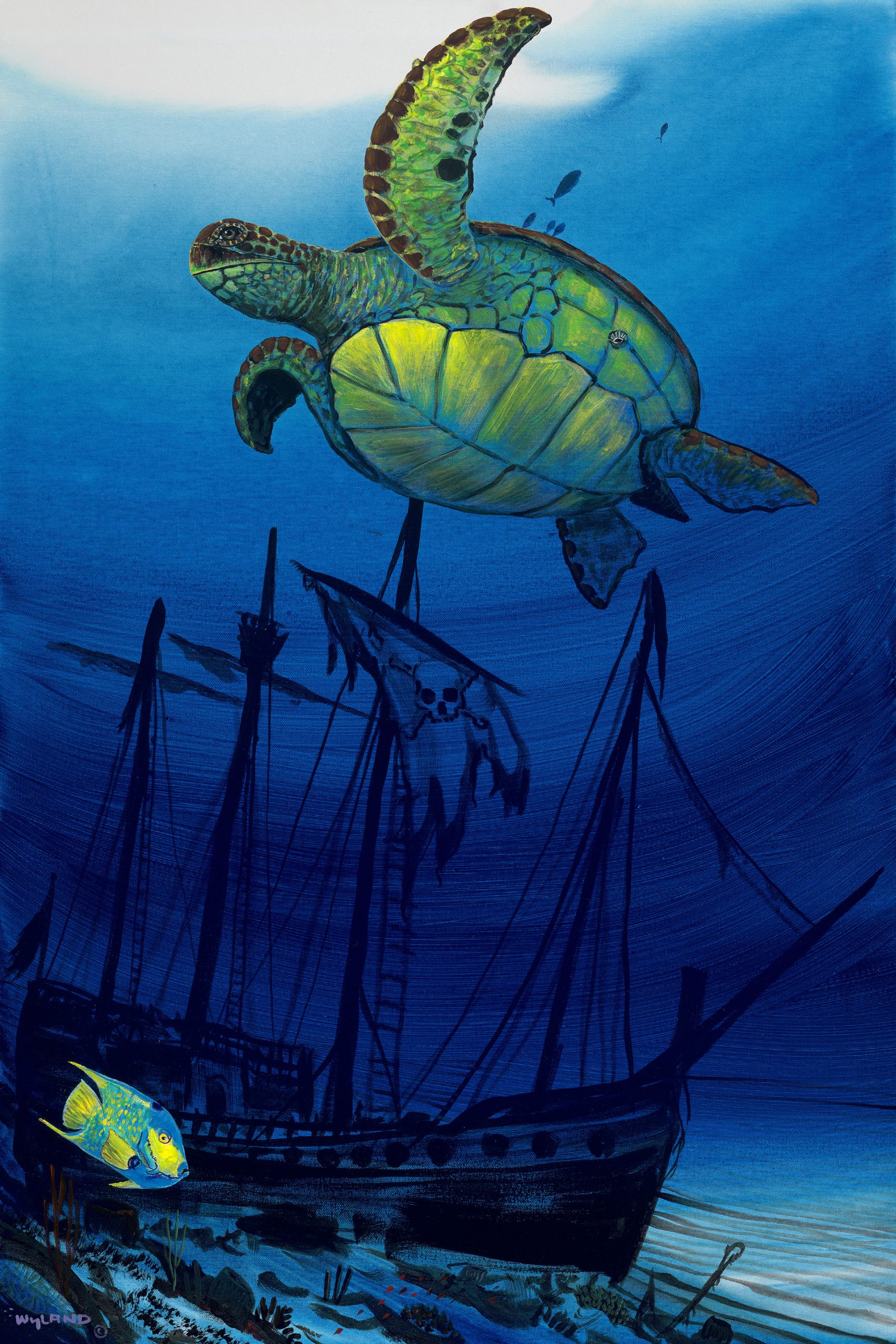 Sea Turtle Shipwreck – Wyland Worldwide